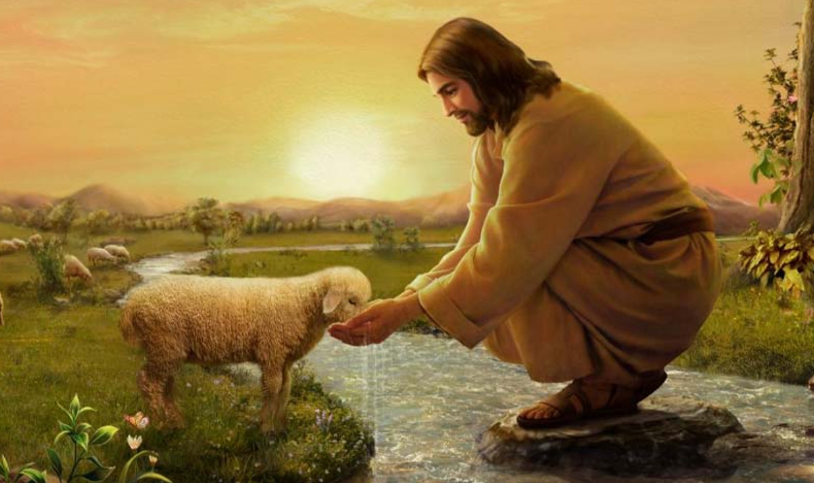 Jesús, es el Señor, es el “Buen Pastor” | El Catolicismo